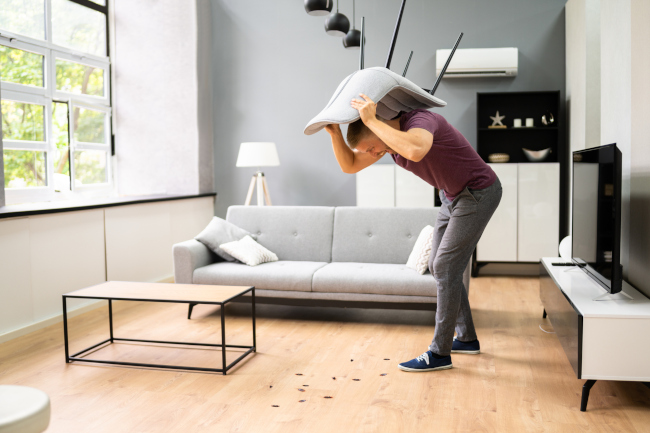 3 Reasons to Leave Pest Removal to the Professionals | True Blue ...