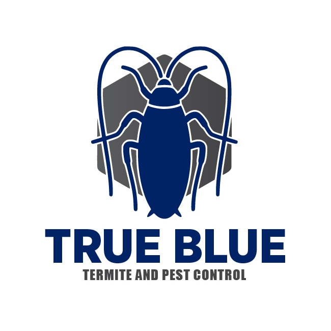 Pest & Moisture Control | True Blue Termite and Pest Control